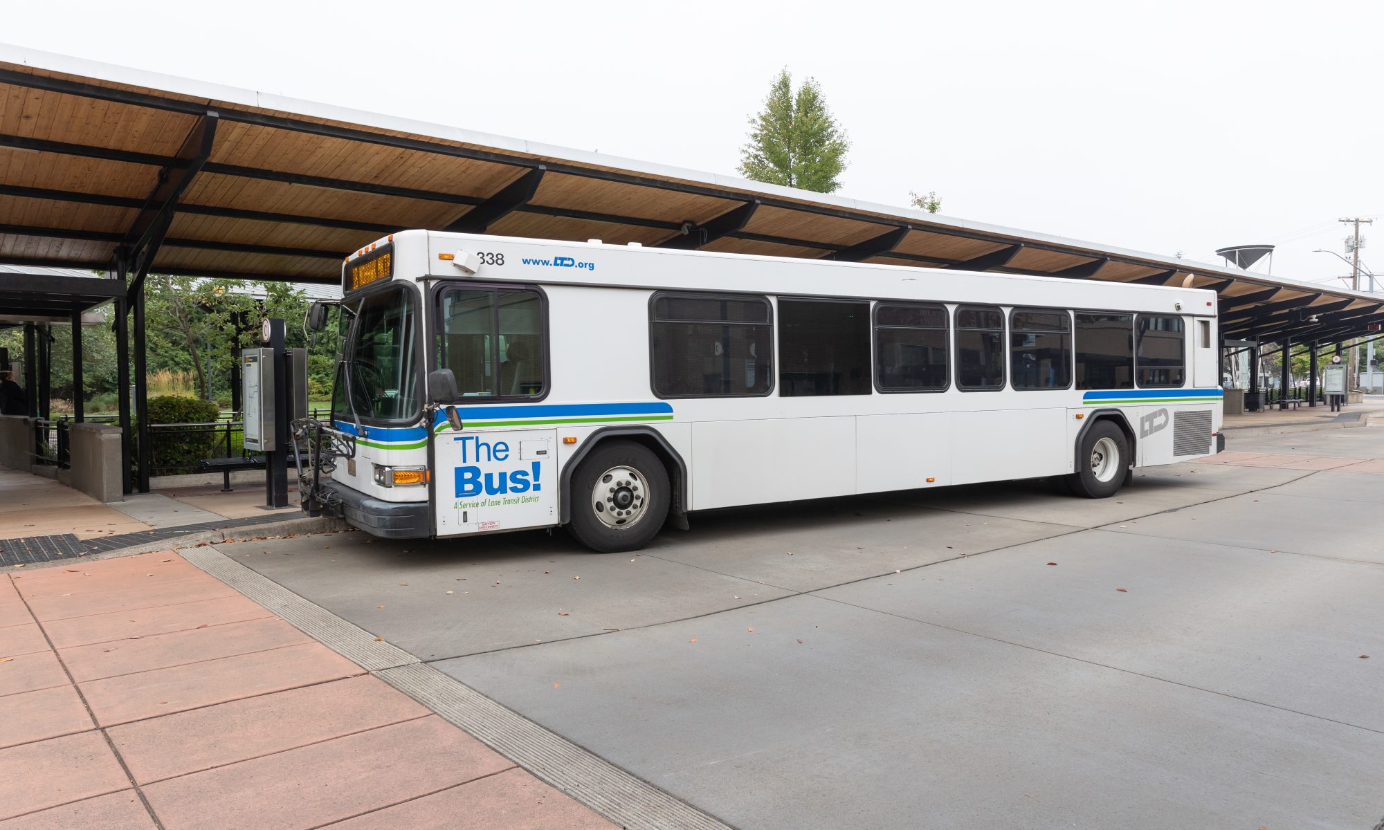 A3 wins inaugural LTD ‘Take The Bus’ Challenge - The Chronicle