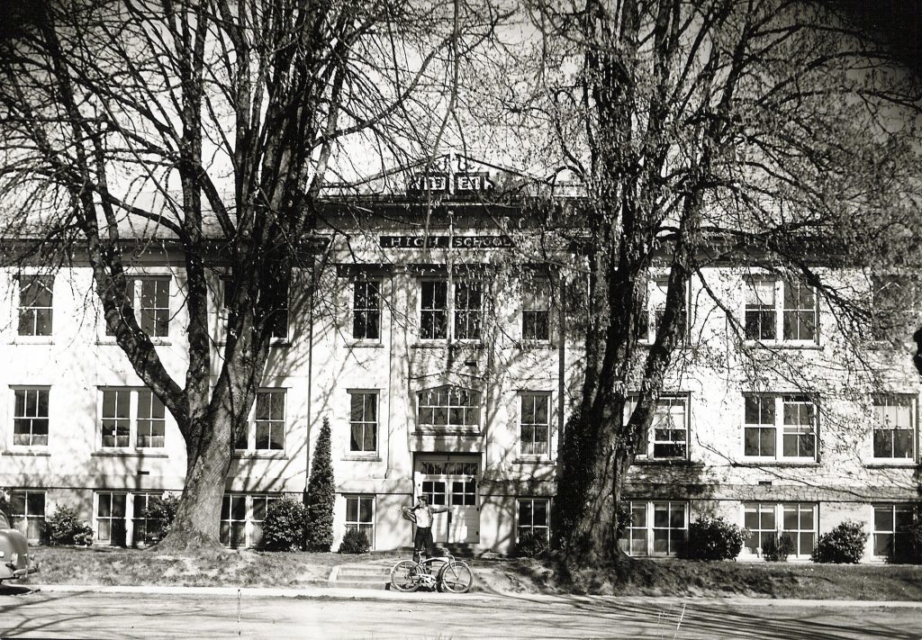 Historic Mill Street maple trees topple over - The Chronicle