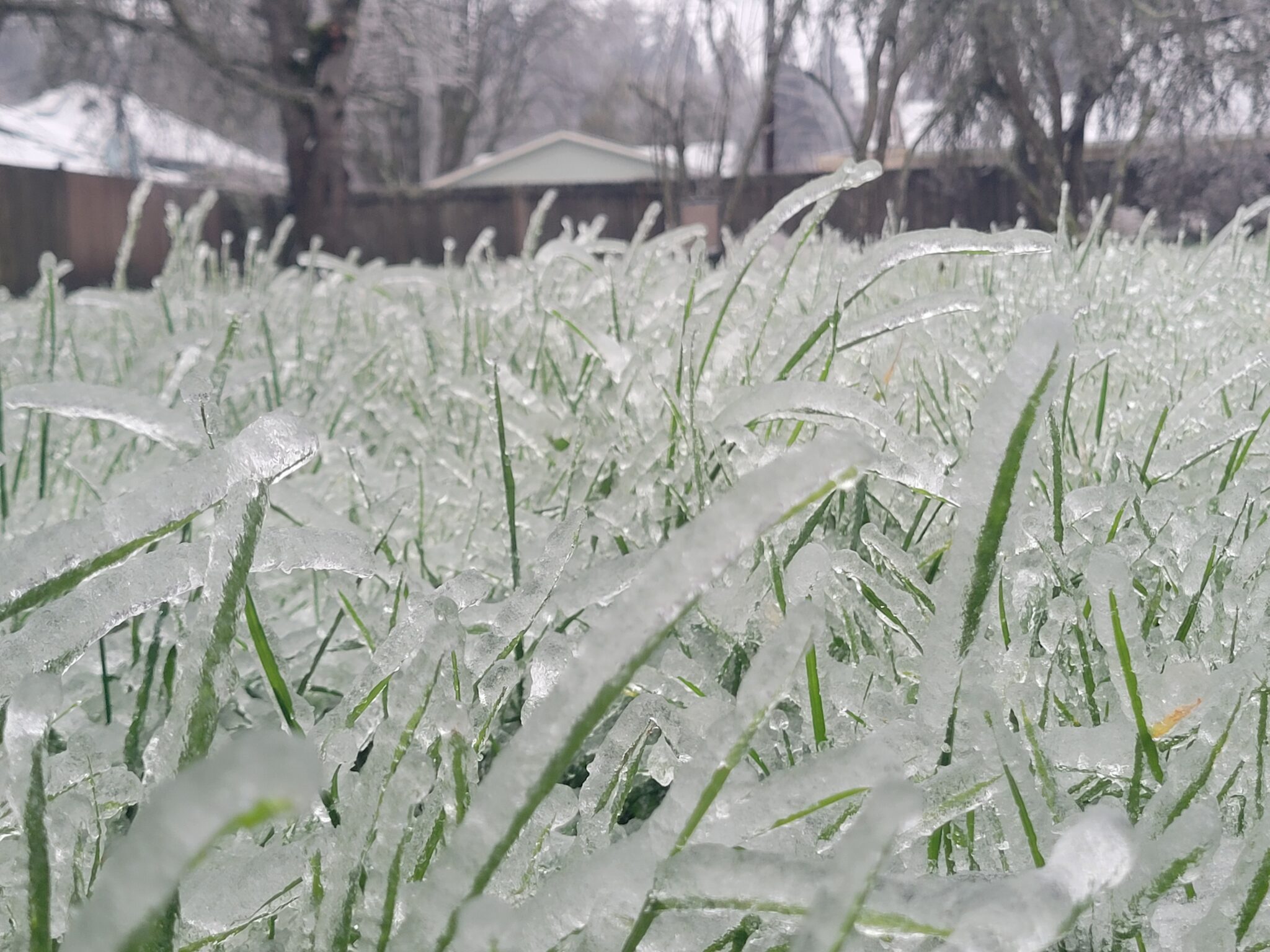 Dangerous ice storm scars cities with damage, causing major disruptions ...