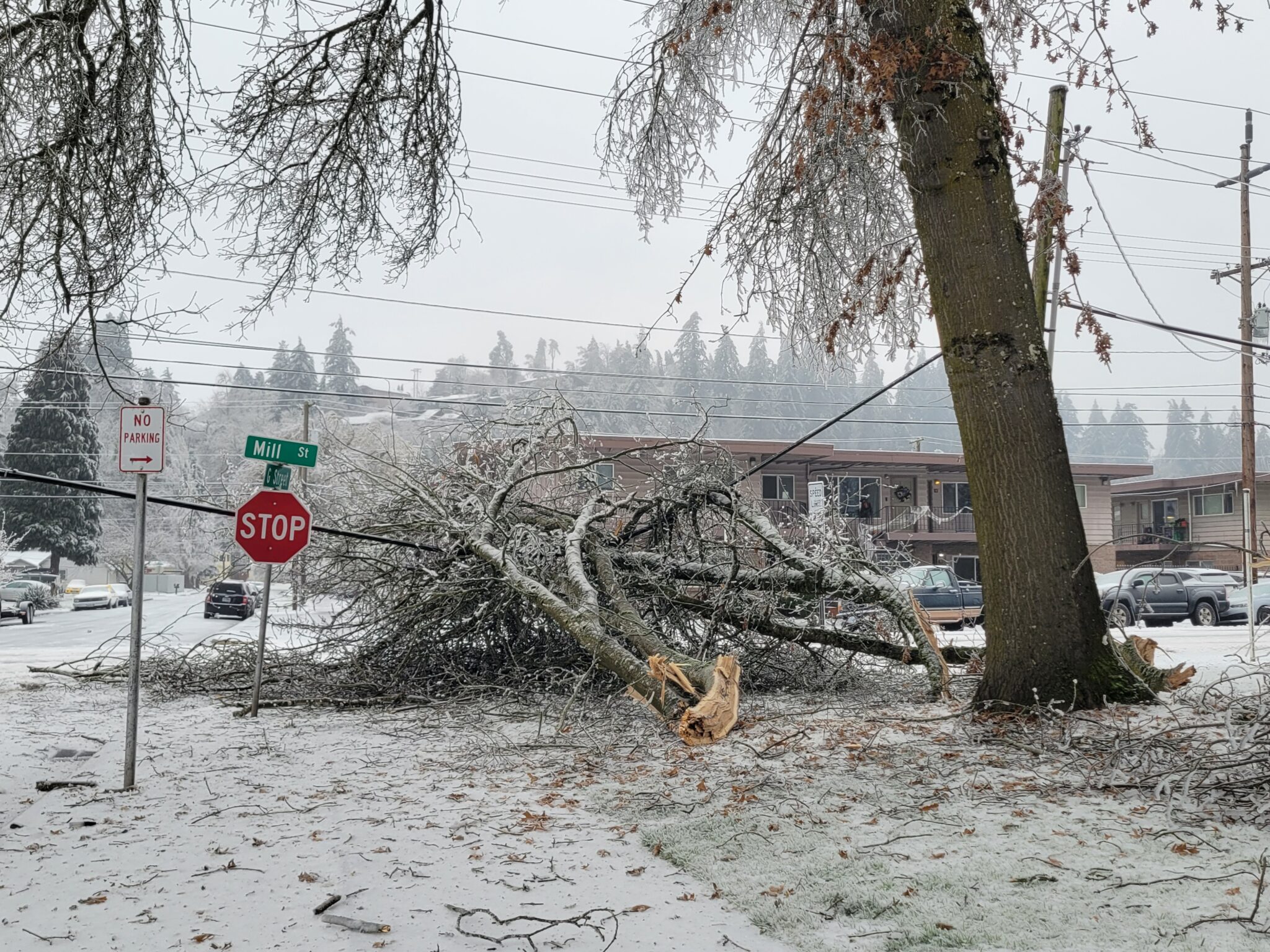 Dangerous ice storm scars cities with damage, causing major disruptions ...