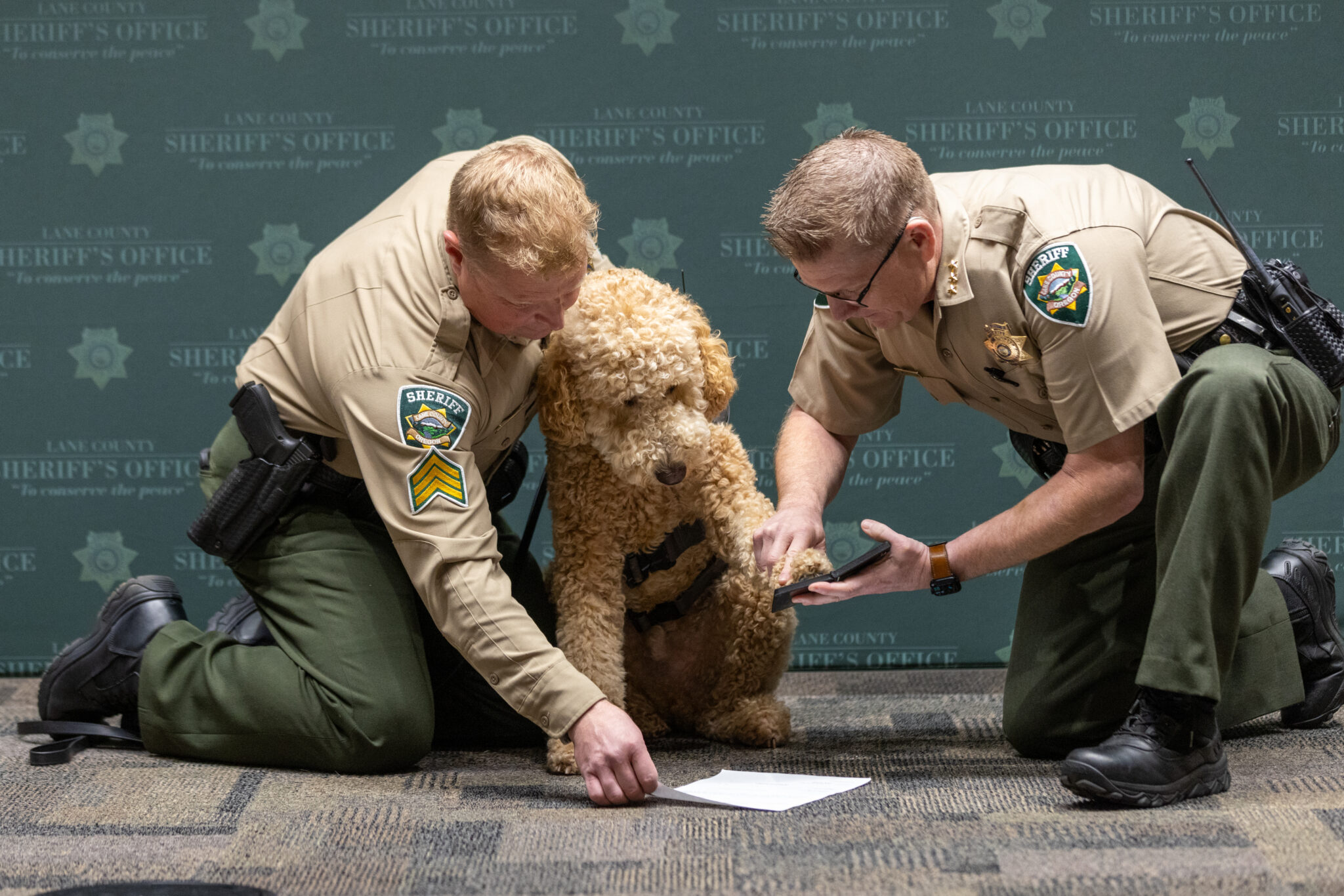 Something to bark about: Comfort K9 Corporal Carlton sworn in to serve ...