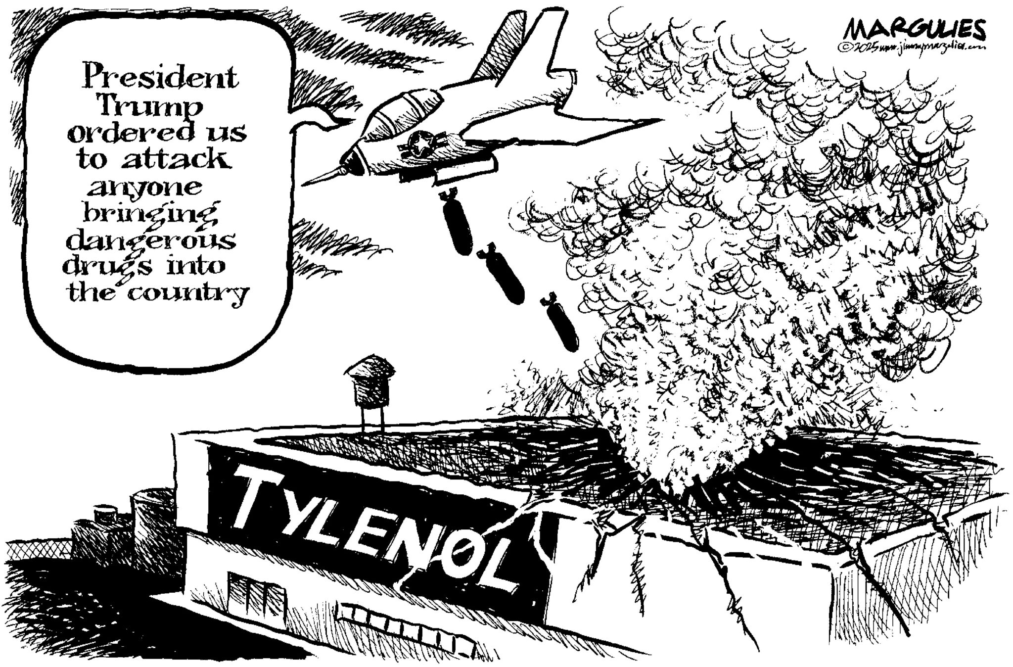 Editorial cartoons: Edition of Nov. 27, 2025 - The Chronicle