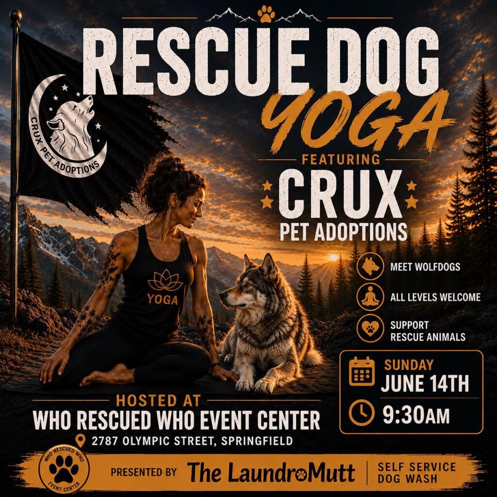 Rescue Dog Yoga with Crux Wolf Dogs - The Chronicle